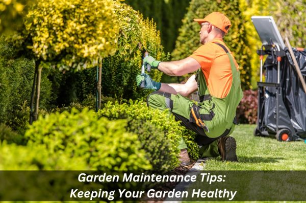 Garden Maintenance Tips: Keeping Your Garden Healthy - Nifty Network Garden Maintenance Tips: Keeping Your Garden Healthy - Nifty Network